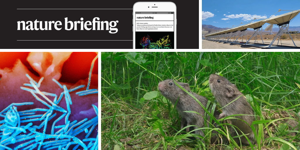 Daily briefing: Action plan breaks barriers for mothers in science