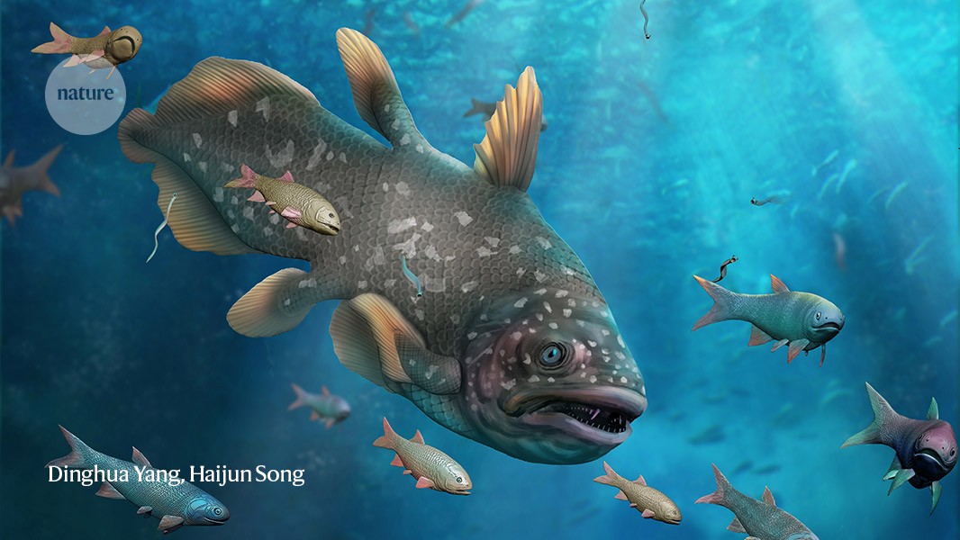 Sea life bounced back fast after the ‘mother of mass extinctions’