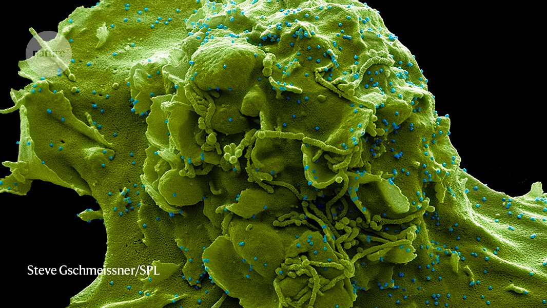 COVID pill is first to cut short positive-test time after infection