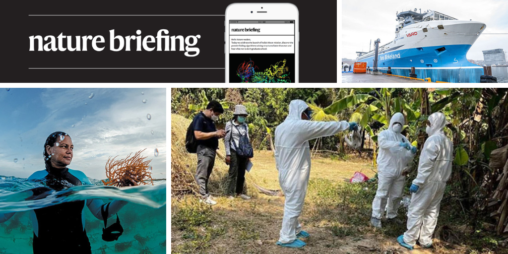 Daily briefing: How to make people want to read your e-mails