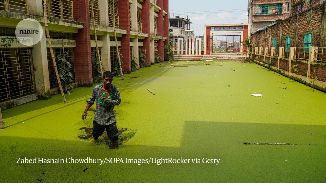 Viruses in sewage help to pinpoint typhoid hotspots