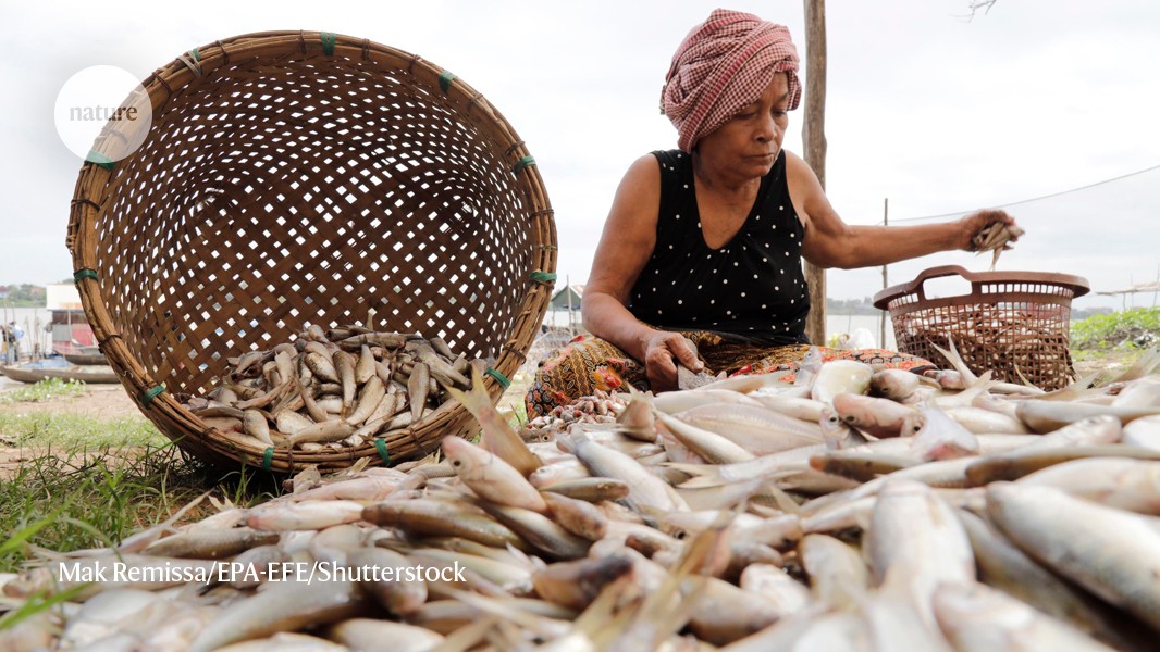 Blue foods brought to the table to improve fish-policy decisions