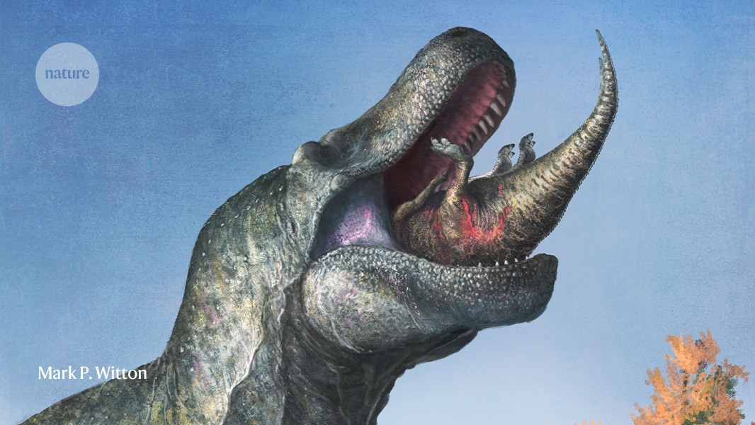 Facelift for T. rex: analysis suggests teeth were covered by thin lips