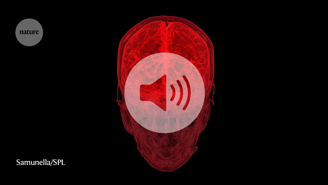 Understanding the difference between the mind and the brain