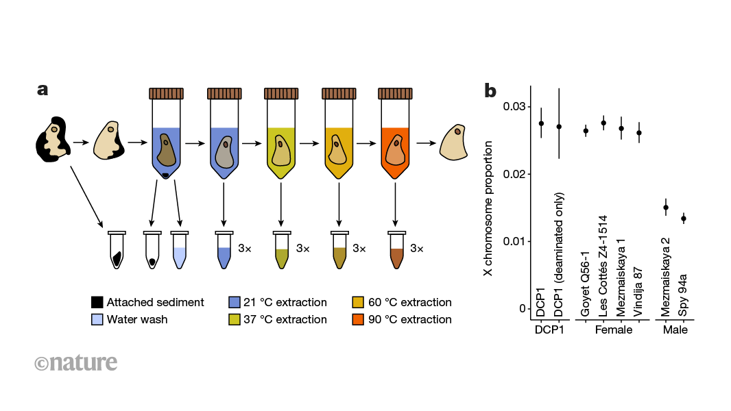 Ancient woman’s DNA recovered from a 20,000-year-old pendant