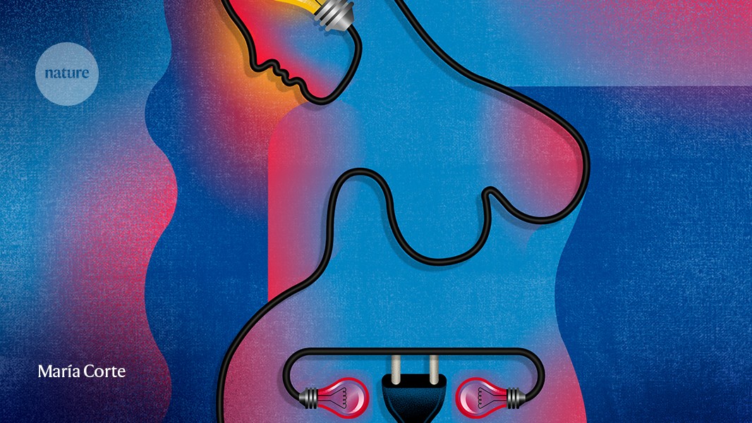 How menopause reshapes the brain