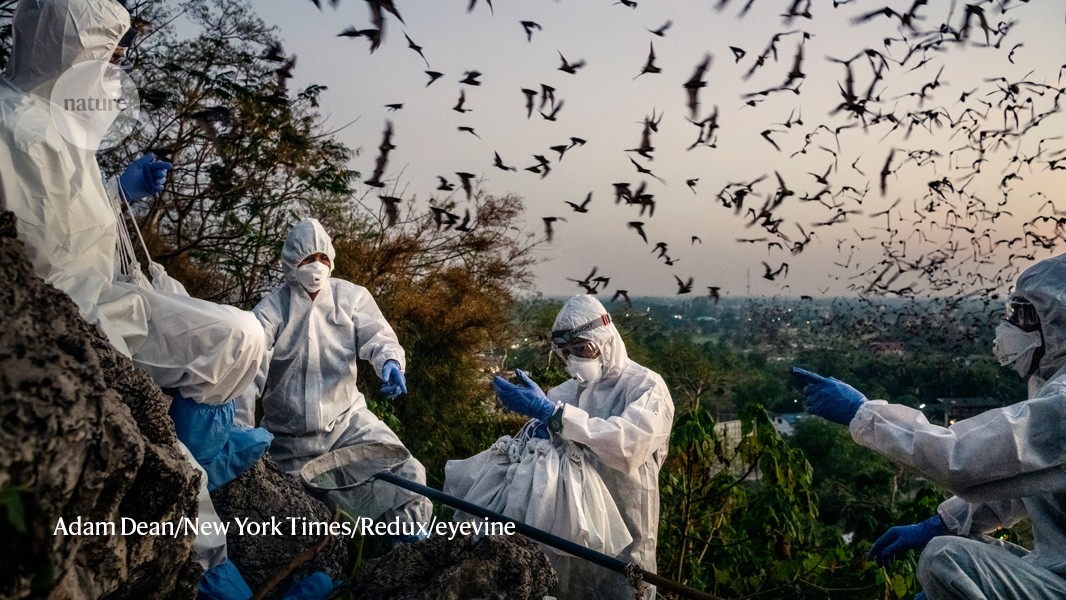 Why the world needs more transparency on the origins of novel pathogens