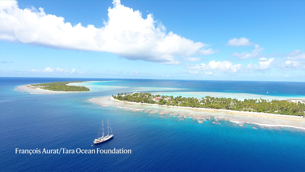 The inspiring story of the Tara and its 20-year message from the corals