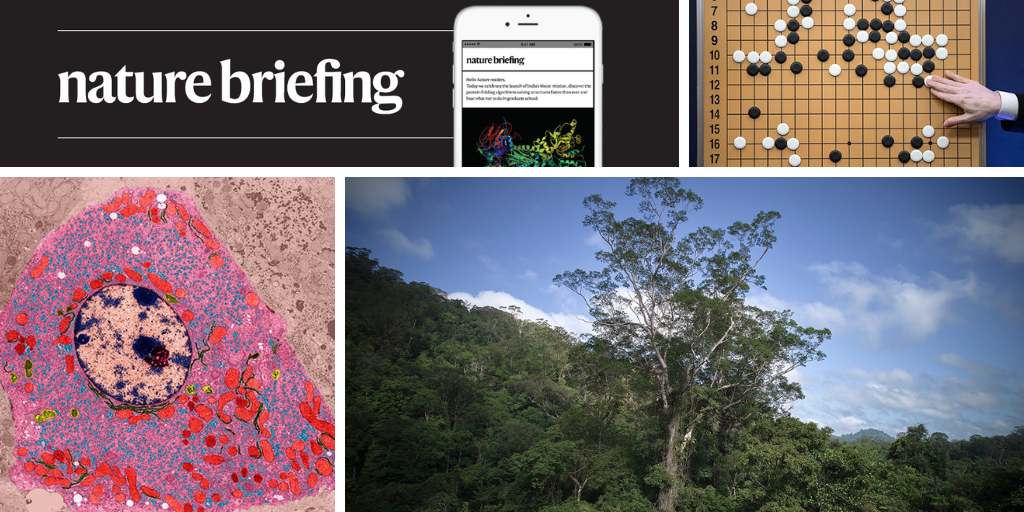 Daily briefing: We’re just as kind and honest as ever