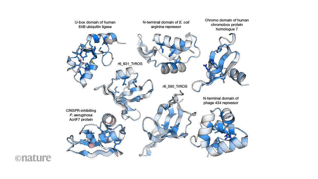 Protein folding stability measured at scale