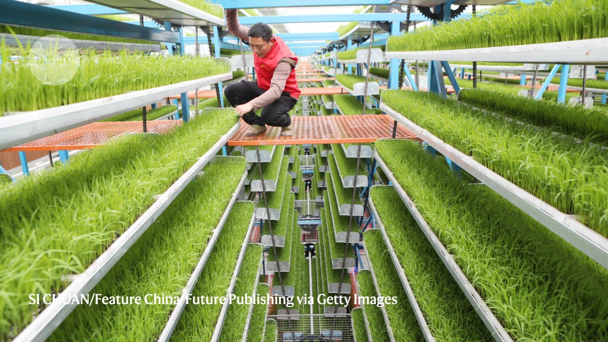 What China’s leading position in natural sciences means for global research