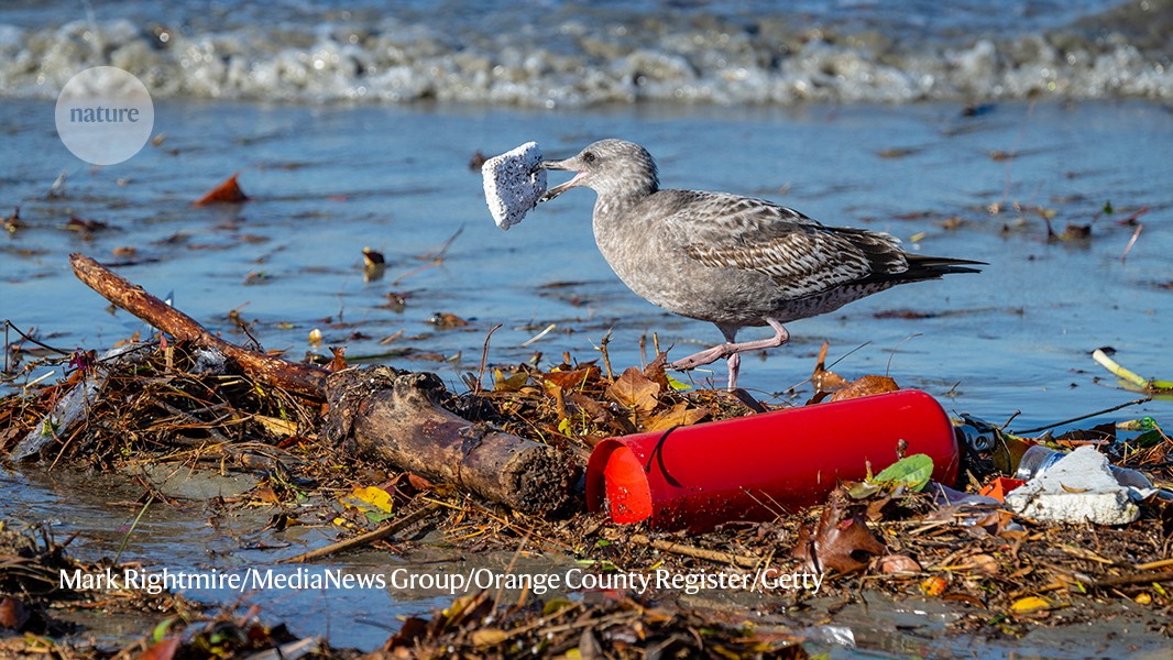 Plastic waste is everywhere — and countries must be held accountable ...