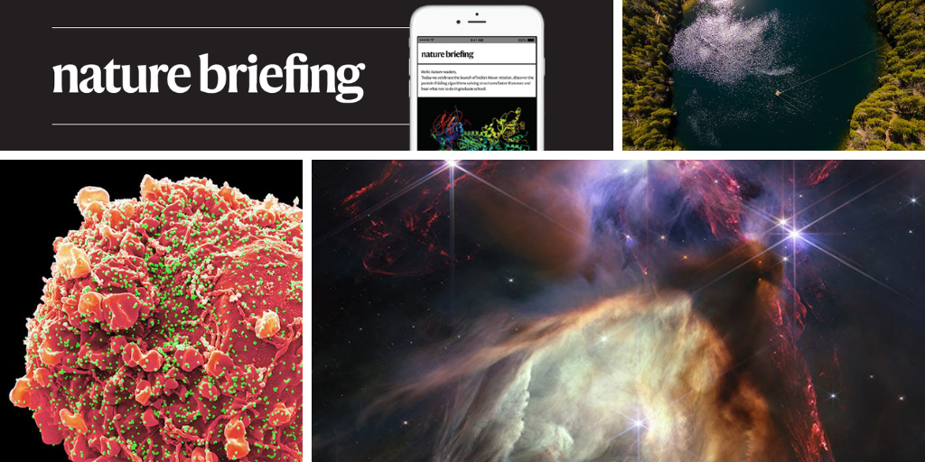 Daily briefing: The CDC is in crisis — can its new leader save it?