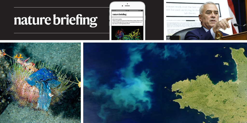 Daily briefing: When your laboratory burns to the ground