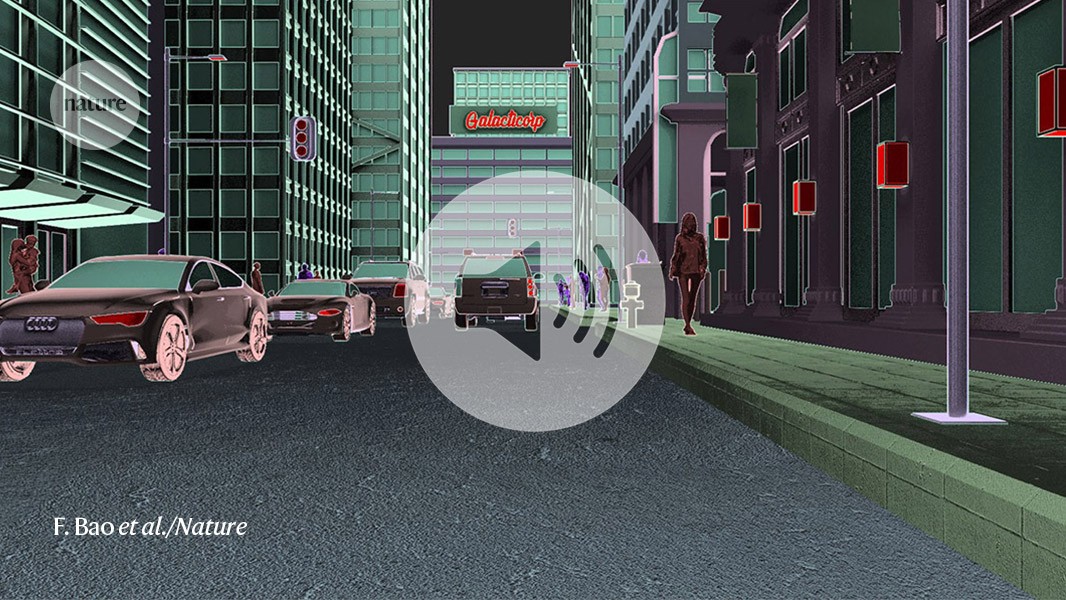 AI-enhanced night-vision lets users see in the dark