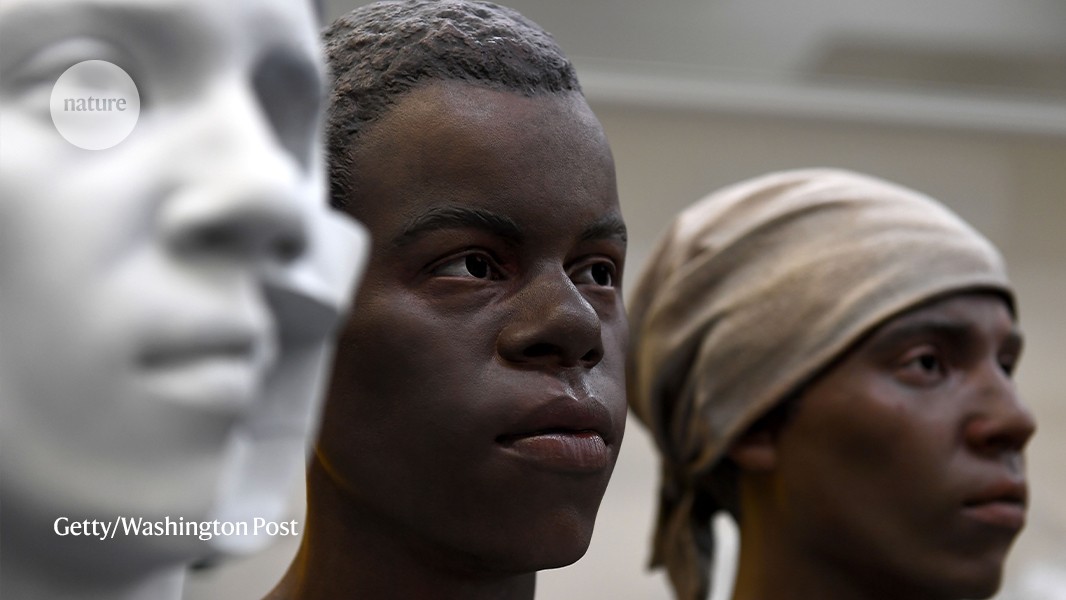 Ancient DNA reveals the living descendants of enslaved people through ...
