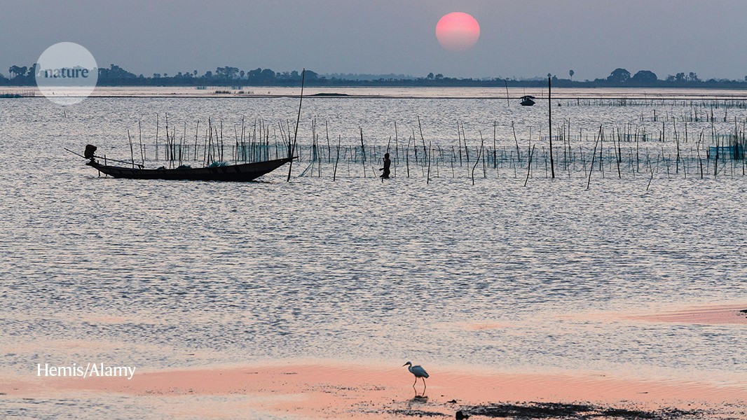 Assessing the values of nature to promote a sustainable future