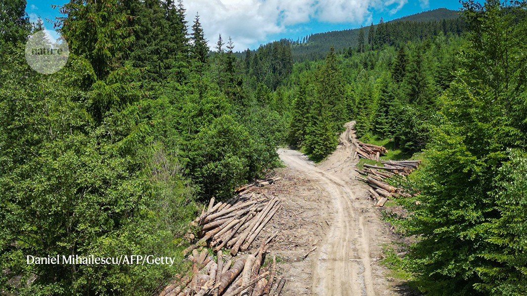 Bronze Age deforestation changed Europe’s climate