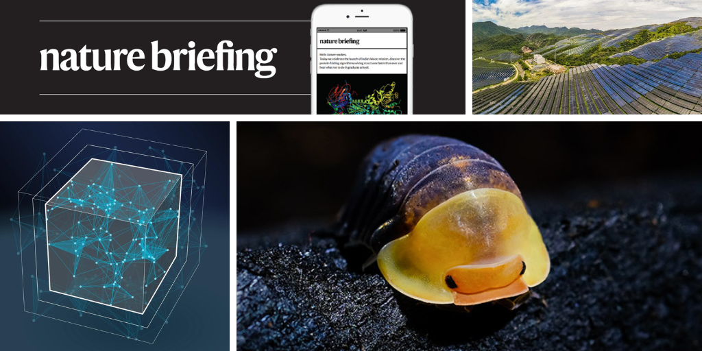 Daily briefing: More than half of all life on Earth lives underground