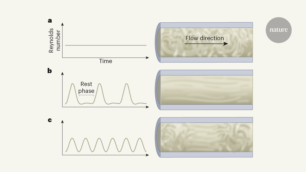 Cardiac cycle inspires optimized pipe flow