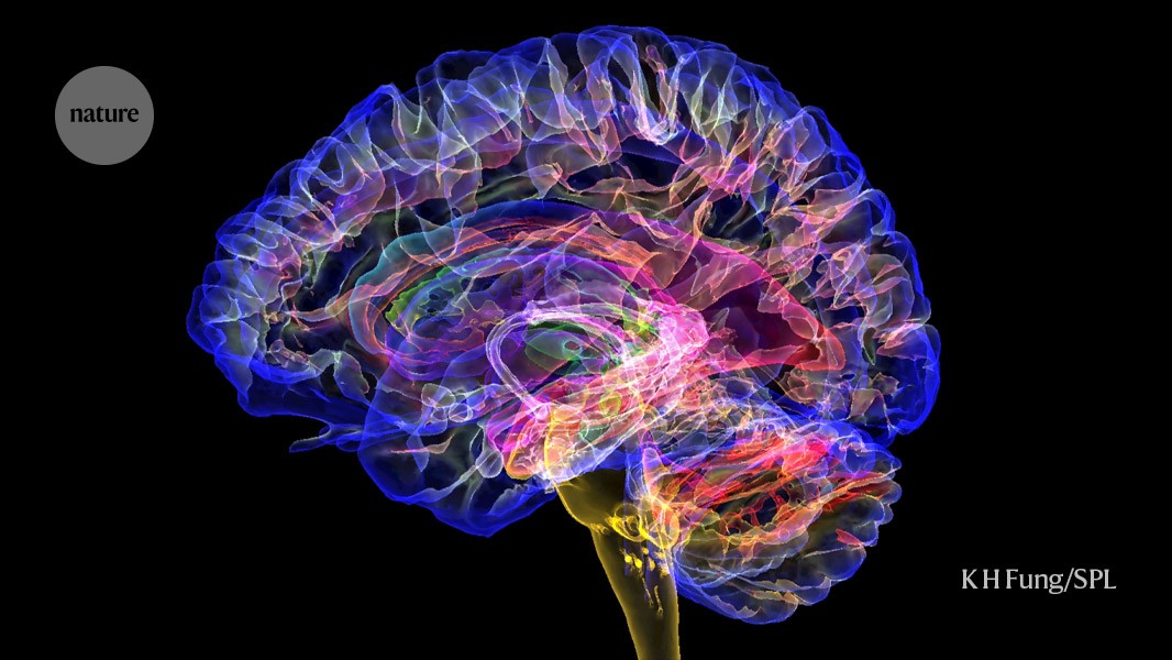 Brain implants help people to recover after severe head injury