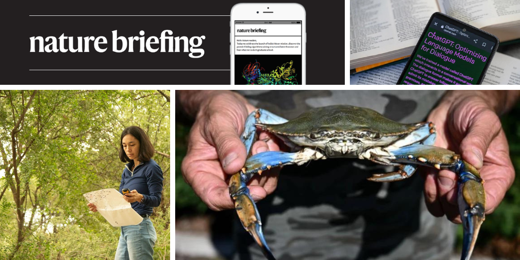 Daily briefing: Surprising findings from India’s Moon mission