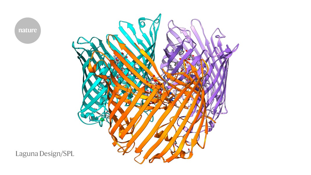 ‘A Pandora’s box’: map of protein-structure families delights scientists