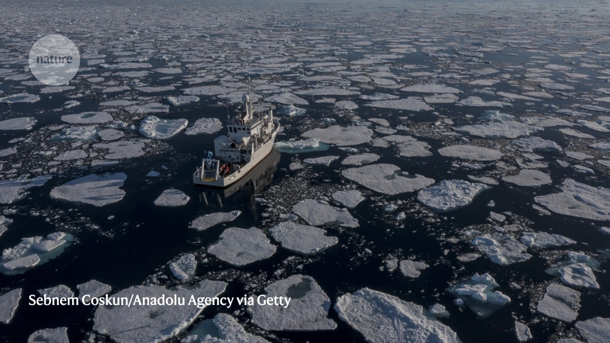 Polar researchers strive for progress despite adverse world events