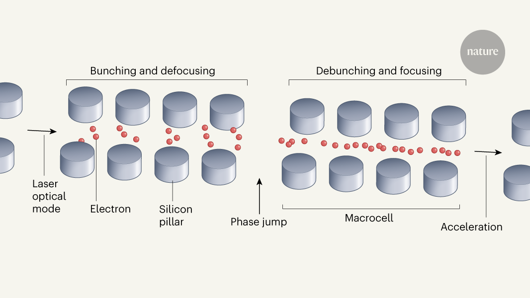 The compact accelerator that keeps electrons on the straight and narrow