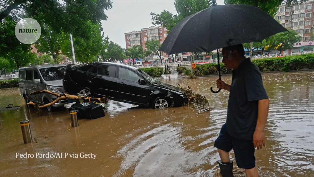 Flood-prone areas are hotspots for urban development
