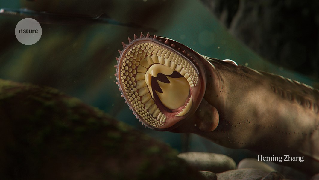 Blood-sucking fish had flesh-eating ancestors