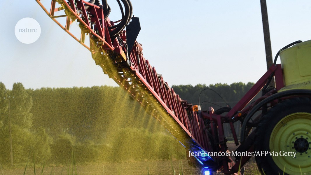 EU allows use of controversial weedkiller glyphosate for 10 more years