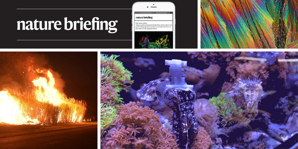 Daily briefing: Why these PhD scientists went into teaching