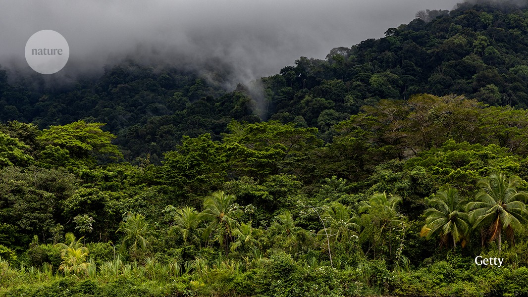 How immense mountains create one of the rainiest places on Earth