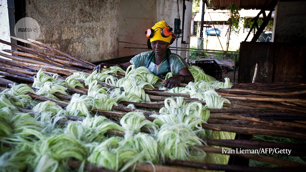 Frugal innovation: why low cost doesn’t have to mean low impact