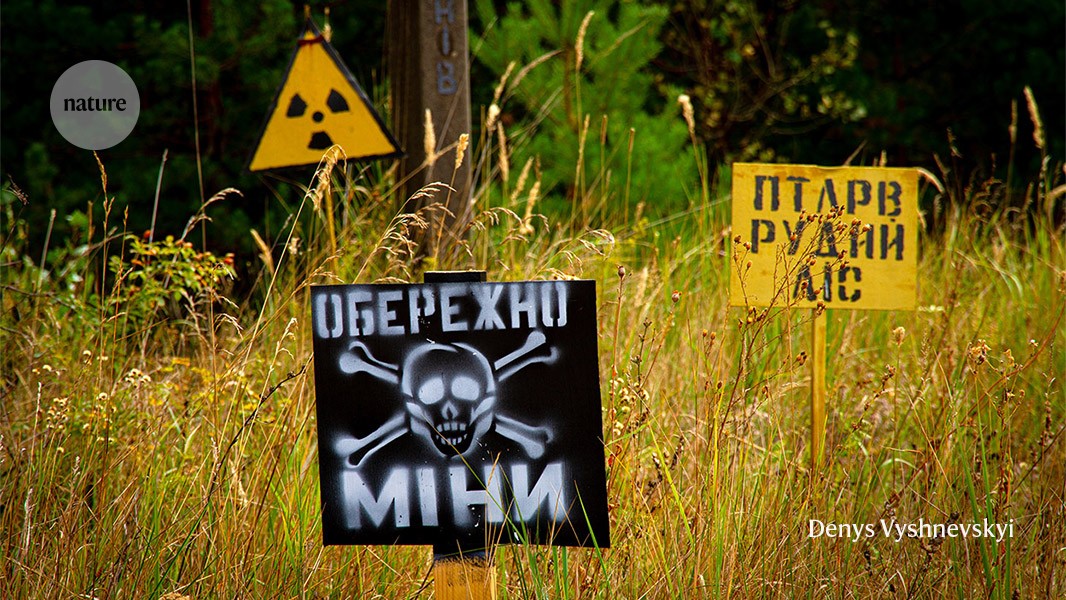 Research in Chornobyl zone restarts amid ravages of war