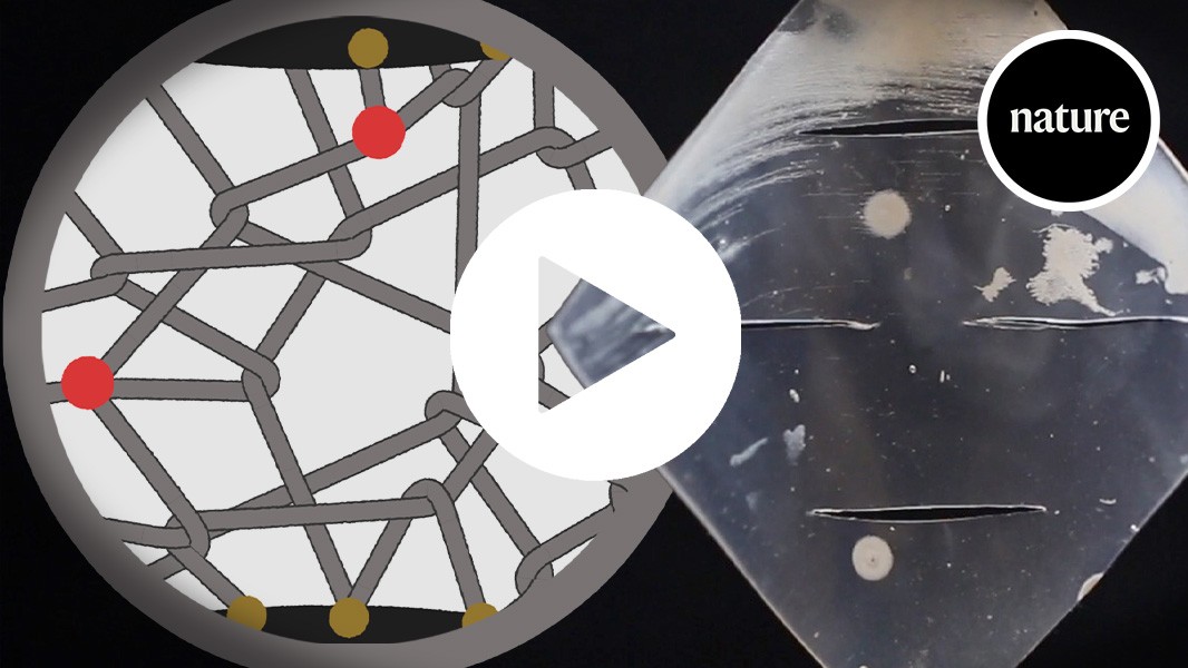 The rubber that stops cracks in their tracks