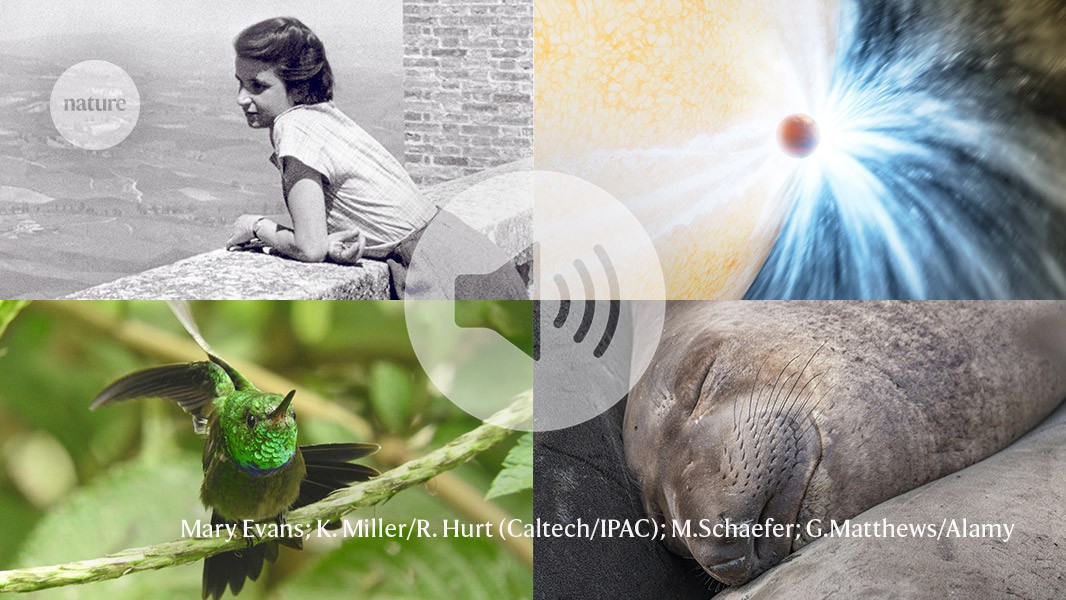 The Nature Podcast highlights of 2023