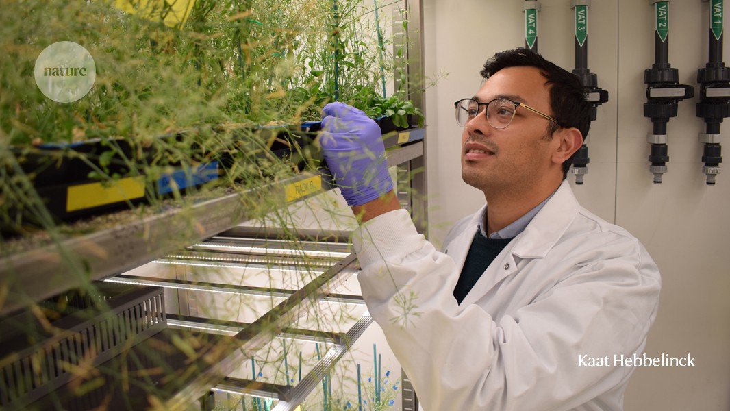 How sharing your science in an opinion piece can boost your career