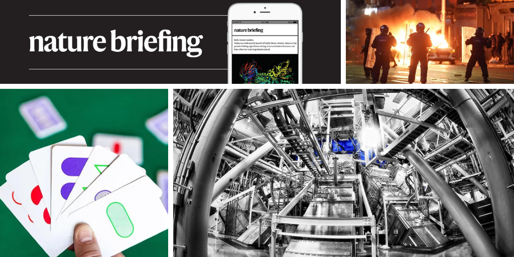 Daily briefing: How to stand out from the crowd when applying for a ...