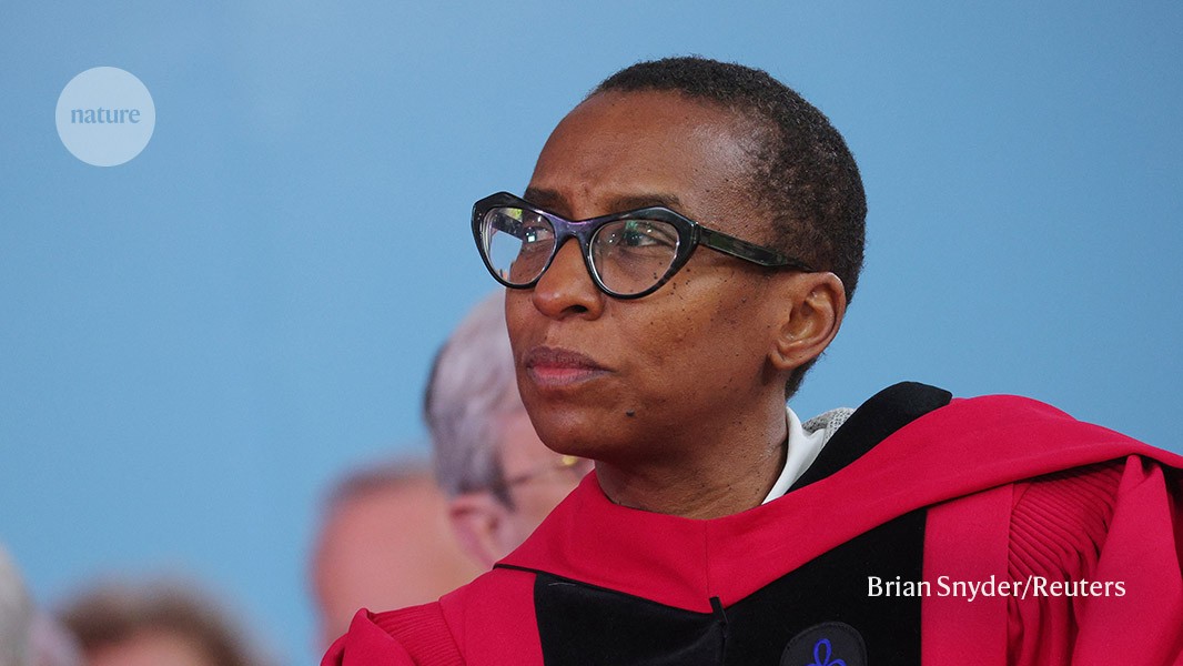 Harvard president’s resignation amid plagiarism allegations leaves ...