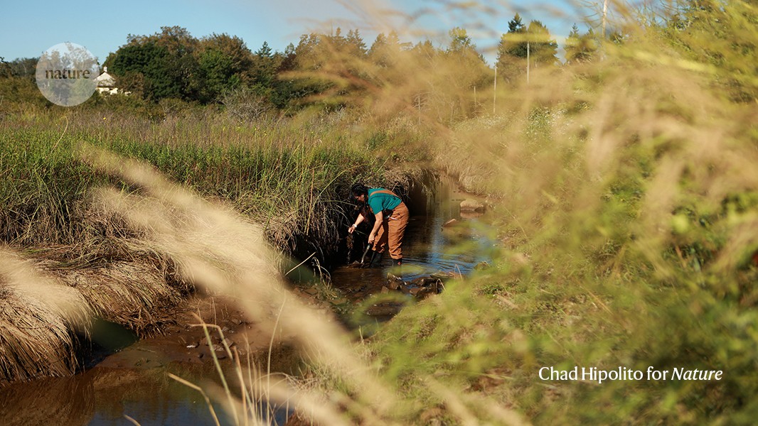 How I fuse Western science with Traditional Knowledge