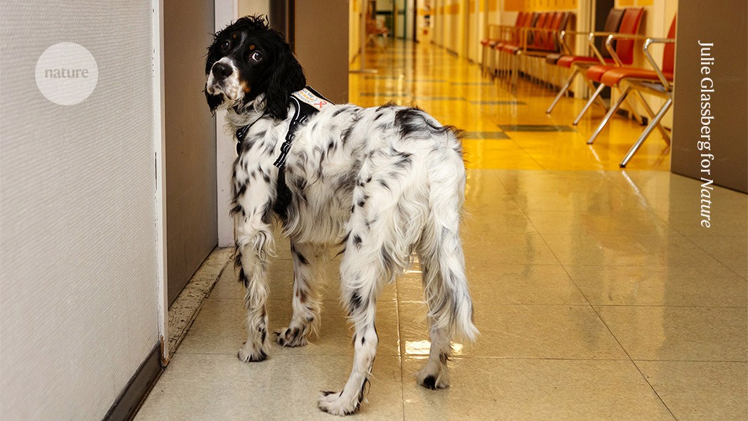 Therapy dog spreads paws-itivity at cancer hospital