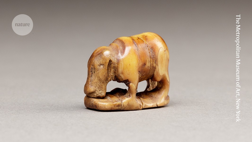 Ivory artefacts’ origins revealed by telltale peptides
