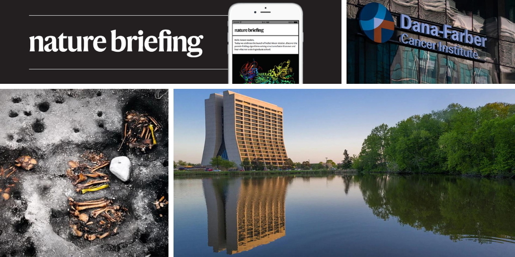 Daily briefing: Meet the data sleuth who spurred the Dana-Farber ...