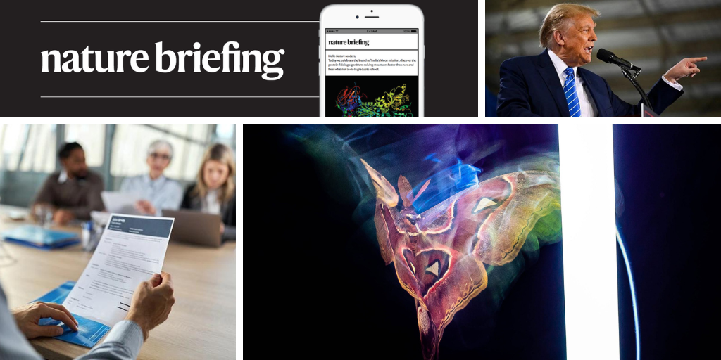 Daily briefing: Why moths are really drawn to light