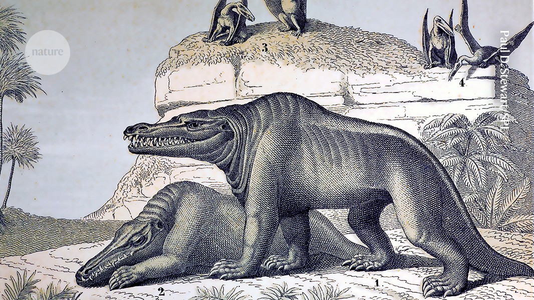 200 years of naming dinosaurs: scientists call for overhaul of ...