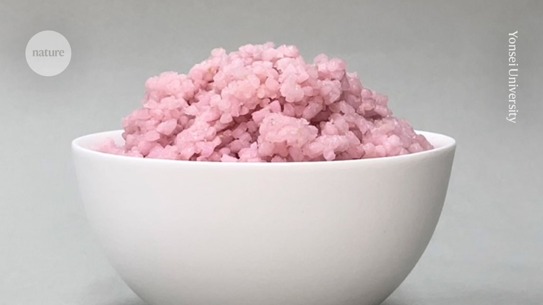 Introducing meat–rice: grain with added muscles beefs up protein