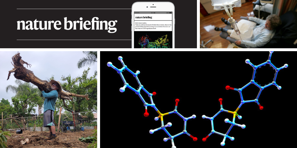 Daily briefing: The quest for self-fertilizing plants