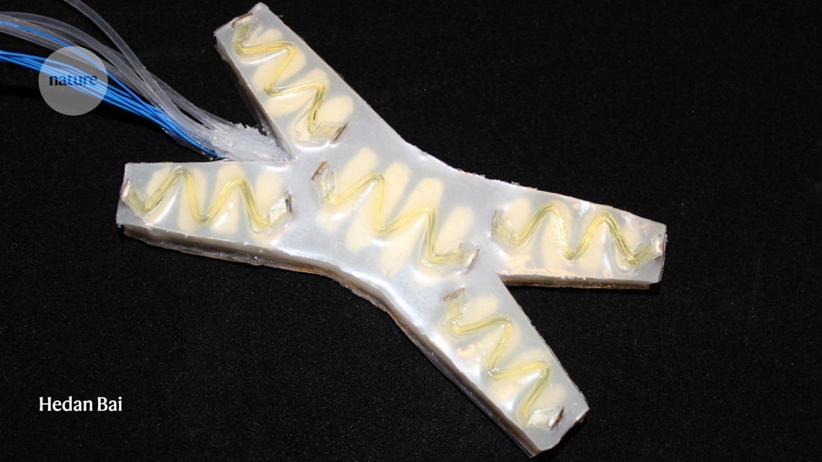 Robot, repair thyself: laying the foundations for self-healing machines